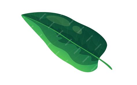 Premium Vector Concept Jungle Botany Plant Branch Leaf A Single Green Leaf Of A Jungle Plant