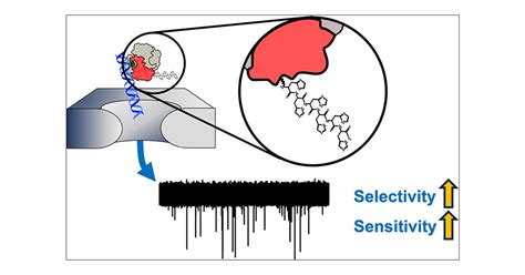 Improving The Performance Of Selective Solid State Nanopore Sensing