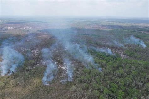 Incendios Forestales De Hopelchén Campeche Suman 700 Hectáreas