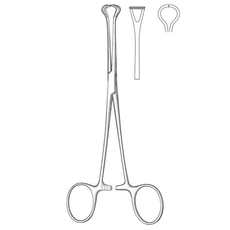 Babcock Tissue Forceps Straight 16cm Insight Surgical