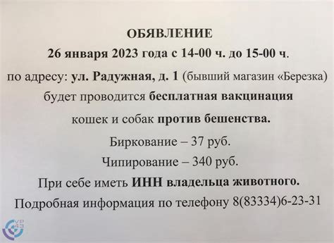 Вакцинация кошек и собак против бешенства в пгт Красная Поляна Вятские