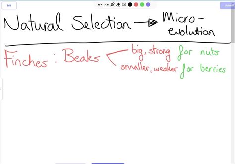 Part D Question Next You Ie Build A Simulation Based On What You