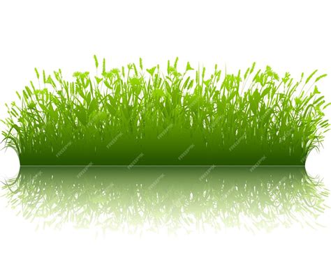 Premium Vector Green Grass Border Bector