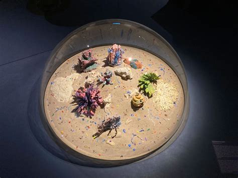 Yesterday Afternoon Robbert Dijkgraaf Opened The Multi Year Exhibition Maria Verstappen