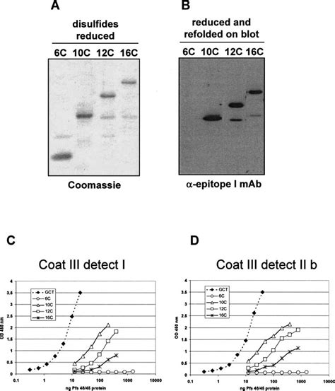 Refolding Efficiency Of The His Tagged N Terminal Truncations Download Scientific Diagram