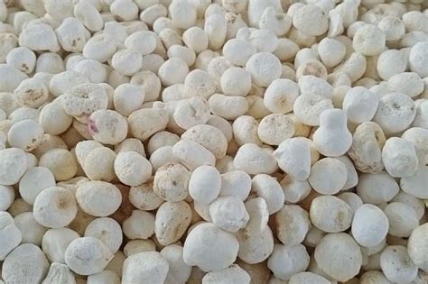 甘肃省西和县旱半夏货源充足 中药材产业信息门户网站