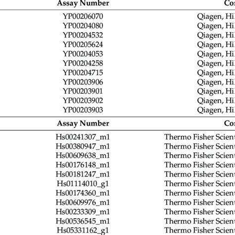 List Of Applied Primer Assays Download Scientific Diagram