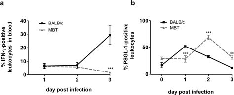 Delayed Activation Of Circulating Leukocytes In Mbt Mice A Download Scientific Diagram