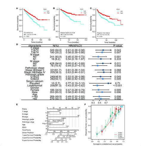 Ferredoxin 1 Fdx1 Expression Prognostic Analysis Patients With Low