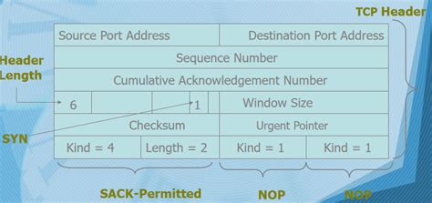 Sack Dsack 相关介绍 Codestacklinuxer 博客园
