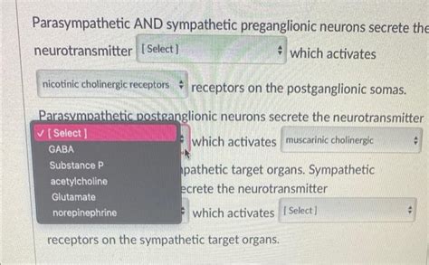Solved Parasympathetic And Sympathetic Preganglionic Neurons