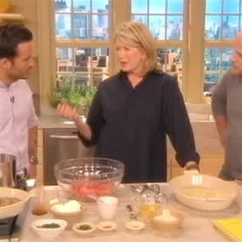 Martha Stewart Show Logo