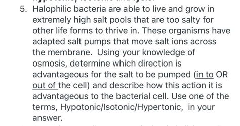 Halophilic Bacteria