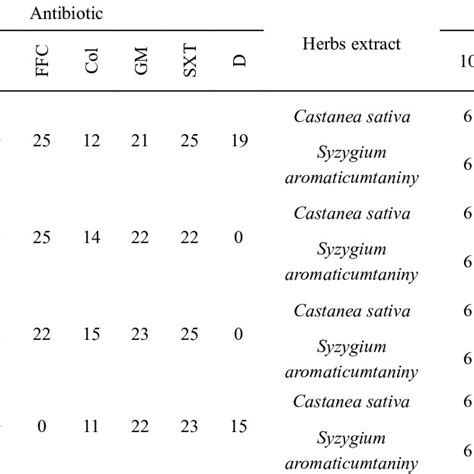 Susceptibility Gram Negative Bacteria Escherichia Coli And Klebsiella