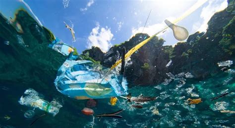 11 Intriguing Facts About Plastic Pollution You May Know