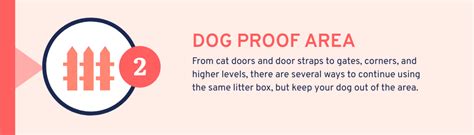 Why Dogs Eat Cat Poop And 3 Steps To Stop Them Whiskerful Life