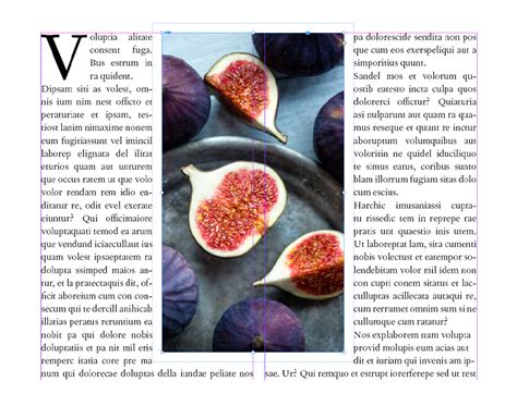 How To Use Text Wrap In Indesign Indesignskills