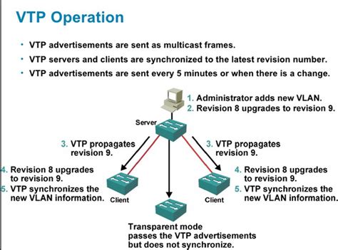 VTP Theory CCNP Switch