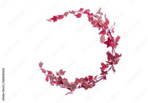 Flower Foliage Circle Overlays Golden Ring Backdrop Overlays