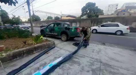pmerj on Twitter Soltar balões é crime CPam descobre fábrica
