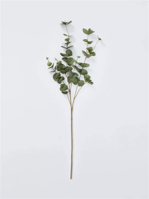 Everlands Eucalyptus Stem Shopstyle Decor