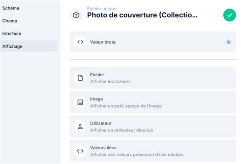 add default display template for directus files · issue 5364