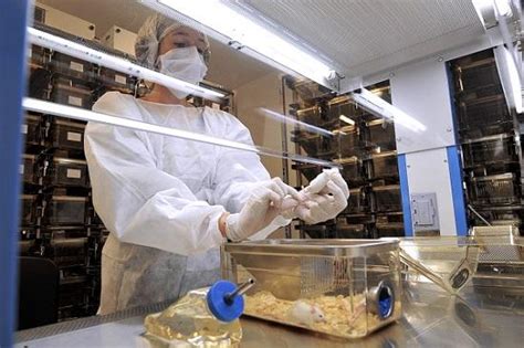 Bioterio Características Funções Tipos