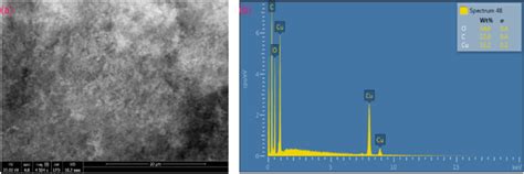 Sem Image A And Eds B Of Mof T23 Rt Download Scientific Diagram