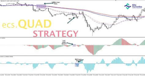 Ecss Quad Pip Strategy Ecs Elite Currensea