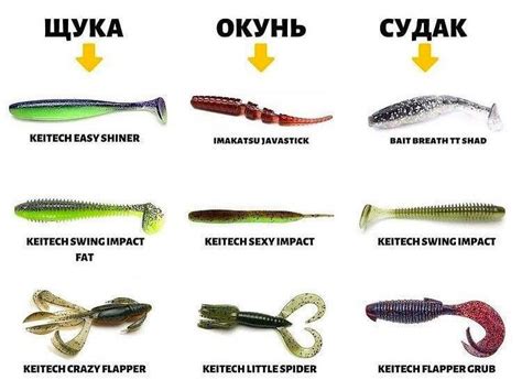 РЫБХОЗ | ВКонтакте