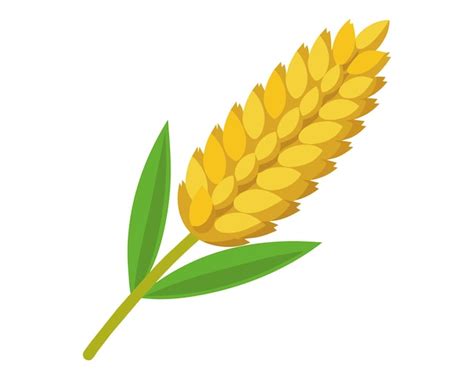 Premium Vector Millet Isolated Flat Vector Illustration On White Background