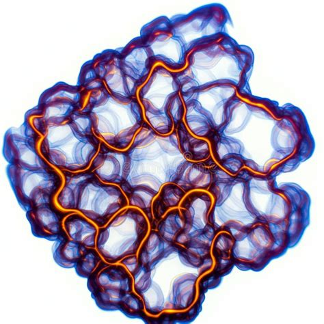 An Abstract Design Featuring Interconnected Swirling Lines In Vivid Orange And Deep Stock