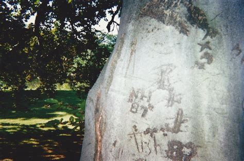 Rune Carvings Finding Our Way Home