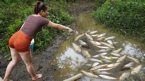 Unique Fishing - Using pumps, pumping water outside the natural lake ...