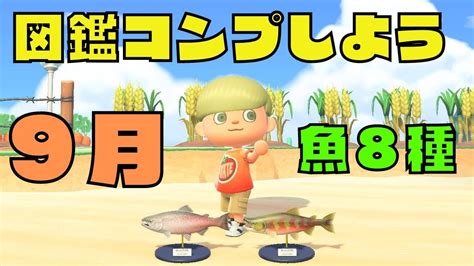あつ森サケとキングサーモンは今月だけ9月登場の魚図鑑コンプしようぜあつまれどうぶつの森ACNH YouTube