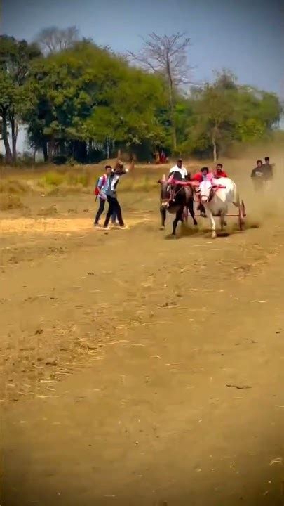 आज चा तुफानी फेरा महाराष्ट्र किंग मथुर 1001 आणि Ak47 सोन्या 🔥👑 ️