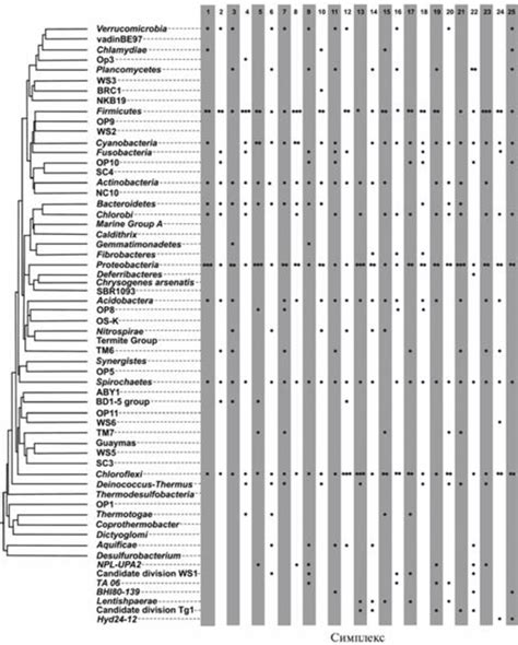 Distribution Of 25 Identified 14 Vertices Simplexes Over The Major