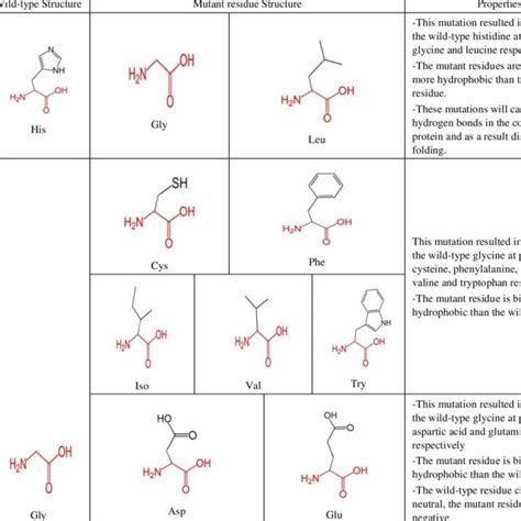 Schematic Structures Of The Wild Type Residue And Mutant Residue Amino