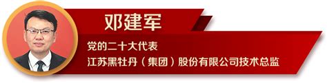盛会关键词④新型举国体制 我苏网