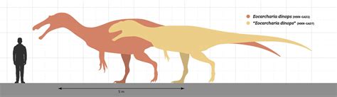 Eocarcharia Dinops By Slvrhwk On Deviantart