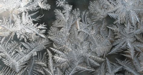 Humidity Control Conquering Frost During Pandemic Production Levels