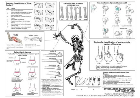 Ortho Essentials1 Pdf