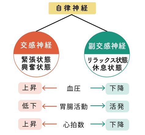 【介護予防コラム 45】季節の変わり目による心身の不調を乗り切る！ ～心身を整えるためにできる対策のススメ～｜お知らせ｜桜十字の新感覚リハビリ