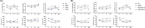 Effects Of Water Stress And Exogenous Spd On Polyamine Metabolism Of A