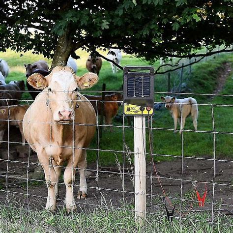 Electric Fence Wire The And Electric Fence Charr Electric Fence