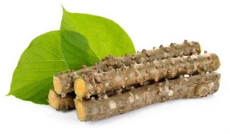 Tinospora Cordifolia Natural Guduchi Stem Packaging Type Packet Packaging Size 100 Gm To 25
