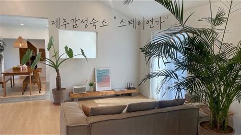 Vlog 제주 감성숙소 추천 제주 한달살기 중 가장 좋았던 신상 펜션 ️애월 자쿠지 독채 키즈펜션🐻 Youtube