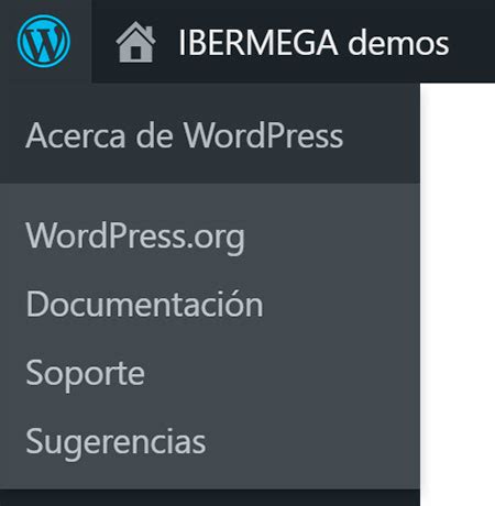Tutorial de WordPress Los 11 menús del Admin IBERMEGA Academy
