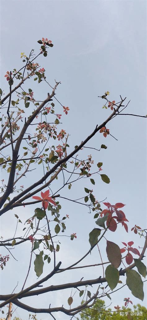 如果两个人最终一定会分离，那他们相遇的意义又是什么呢 知乎