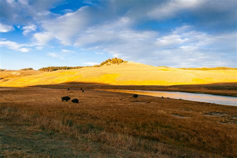 Hayden Valley The Travel Bible